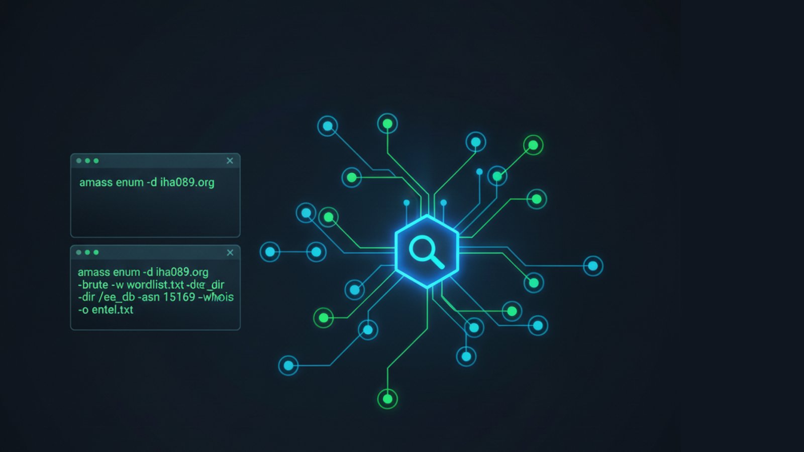 How to Use Amass for Subdomain Enumeration and Recon Like a Pro » IHA089